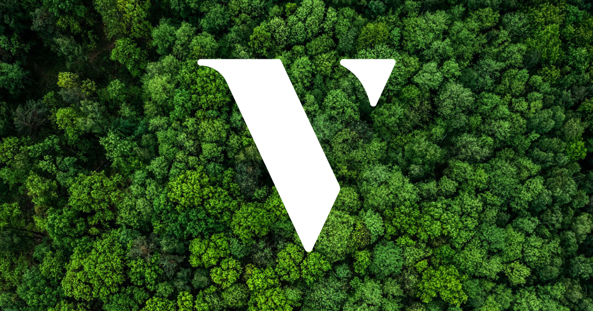 Website Services | Vye